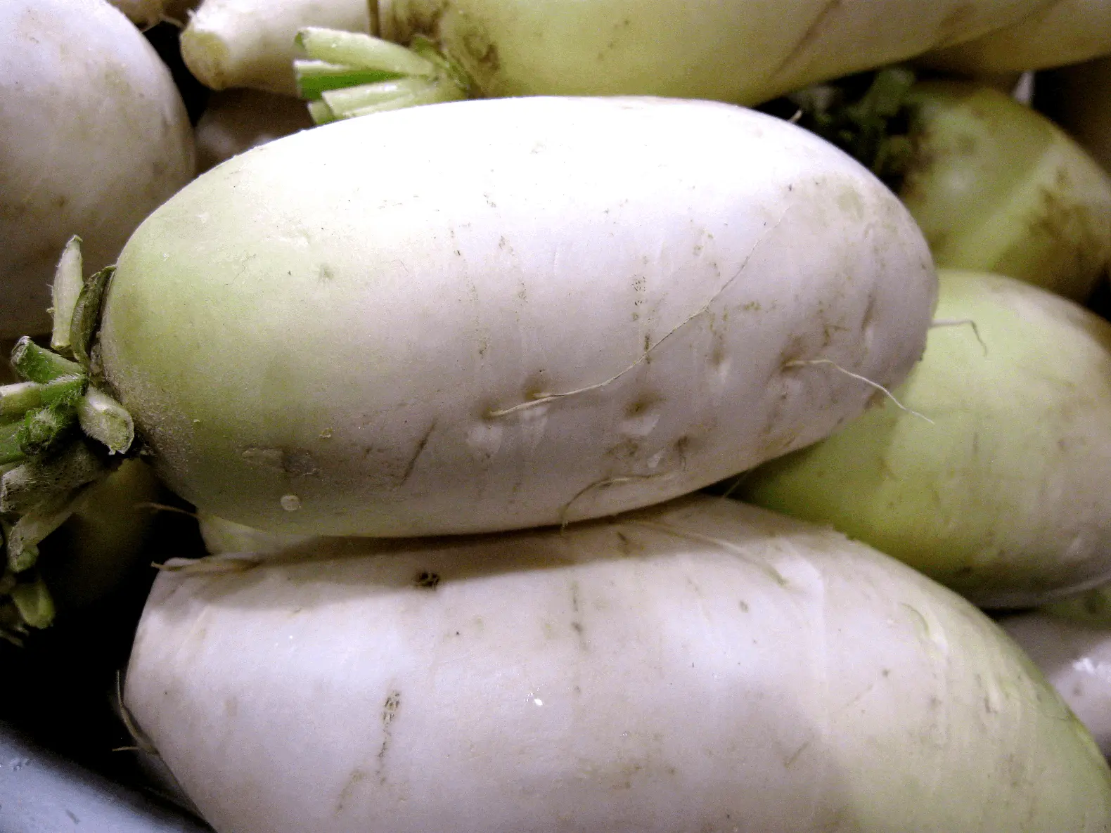 Article: Korean Radish